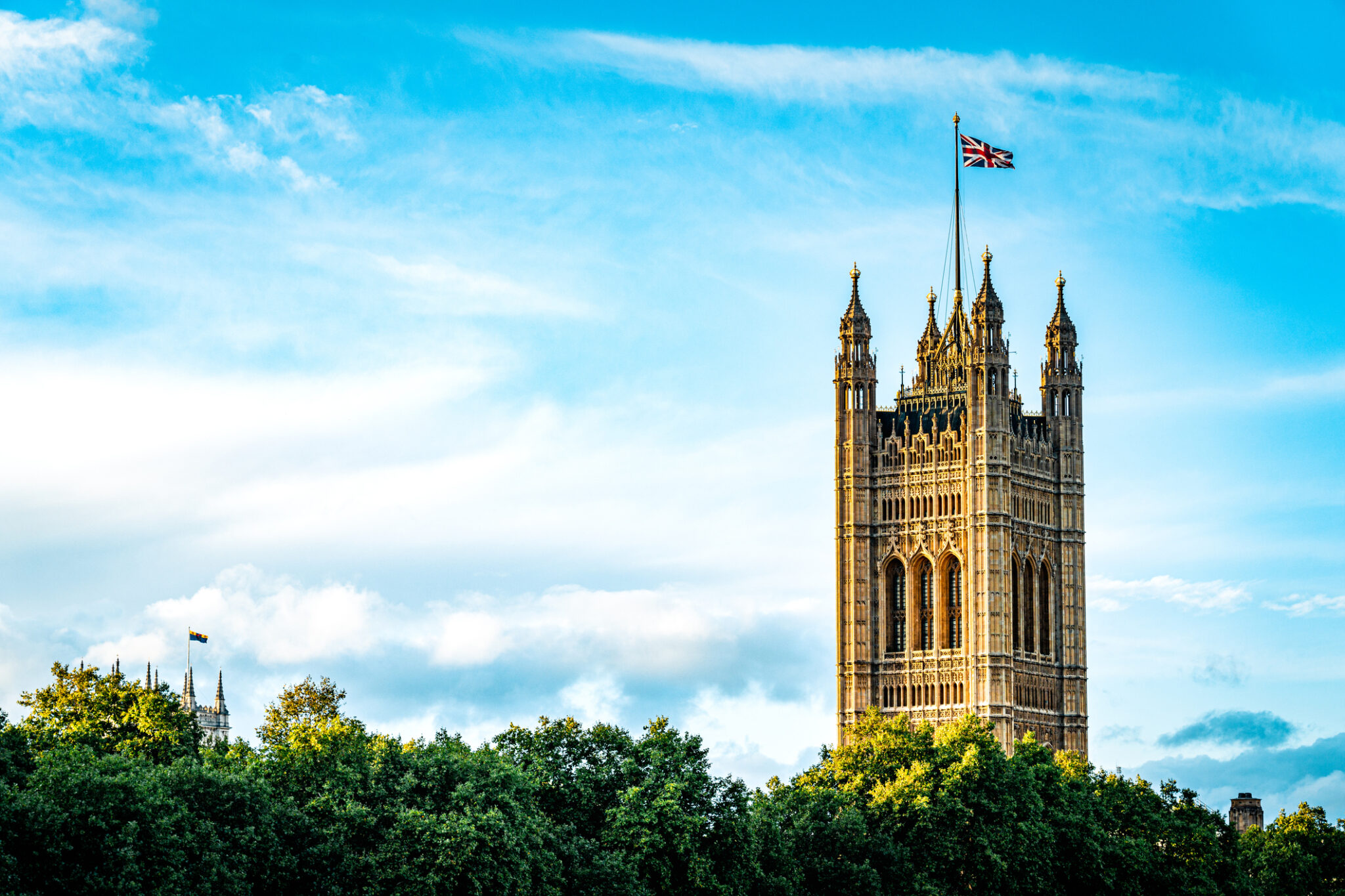 National Law Firm | Anthony Collins Solicitors